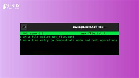 How To Undo And Redo In Nano Editor In Linux Its Foss