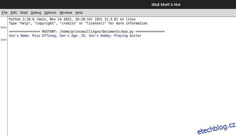 Použití Funkce Super V Python Classes