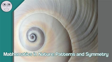 Mathematics In Nature Patterns And Symmetry Youtube