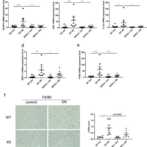 Blockade Of Ripk3 Alleviated The Formation Of Nlrp3 Inflammasome And