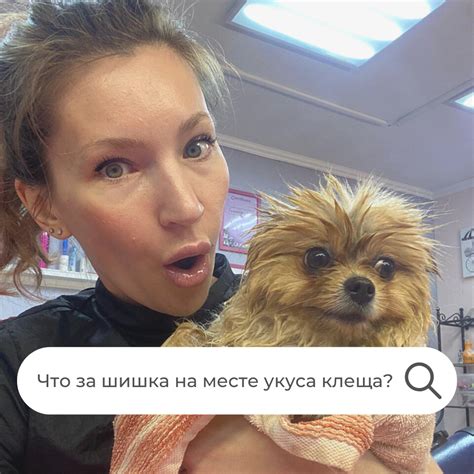 Почему на месте укуса клеща у собаки впоследствии появилась шишка ответ ветеринара Как