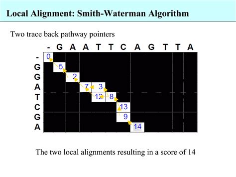 Sequence Alignments Complete Coverage Ppt