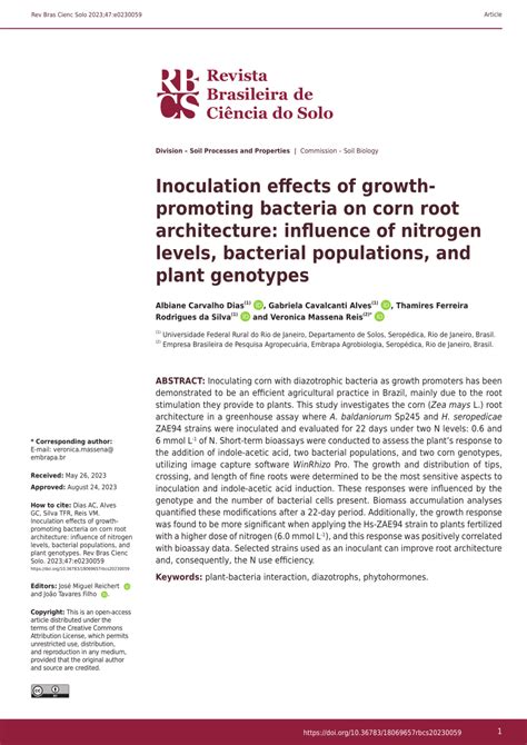 Pdf Inoculation Effects Of Growthpromoting Bacteria On Corn Root Architecture Influence Of