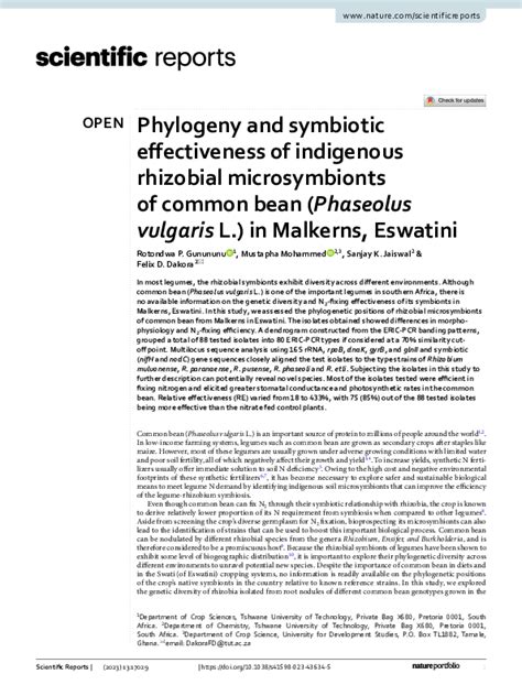 Pdf Phylogeny And Symbiotic Effectiveness Of Indigenous Rhizobial