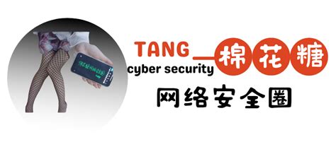 Python开发子域名扫描器 棉花糖会员站