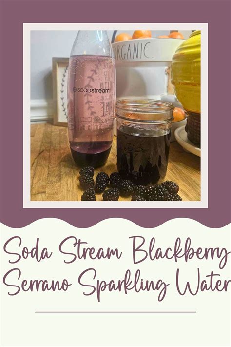 Soda Stream Blackberry Serrano Sparkling Water Recipe Lintukoto Homestead