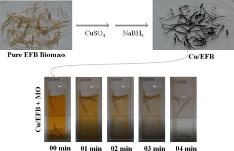 Digital Photographs Of Pure Efb Biomass Cuefb And Catalytic Reduction