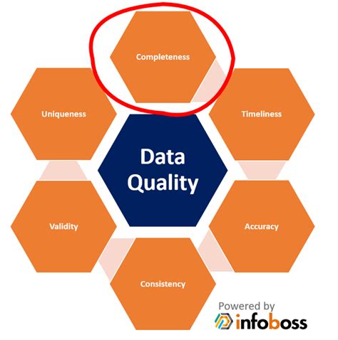 Data Quality Dimensions Completeness Infoboss