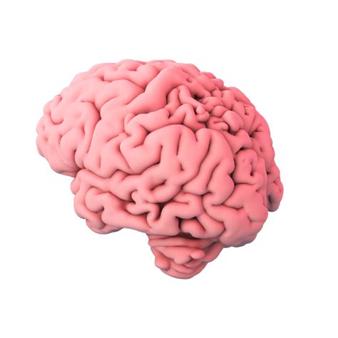 Genetic Brain Profiling Genetic Brain Profiling And English Literacy