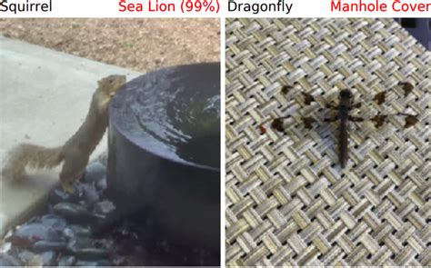 Researchers Release A Dataset Of Natural Adversarial Examples