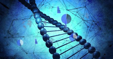 Image Of Scientific Data Processing Over Dna Strand Spinning Stock Illustration Illustration