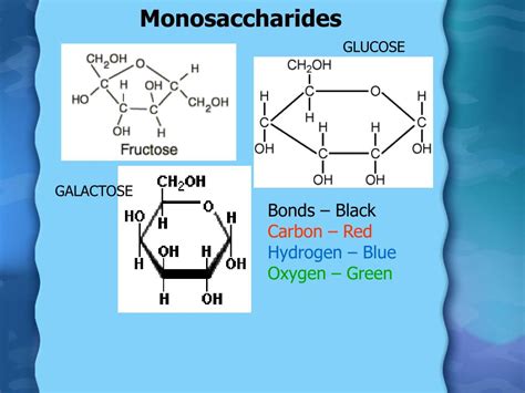 Ppt Building Blocks Of Organic Compounds Powerpoint Presentation