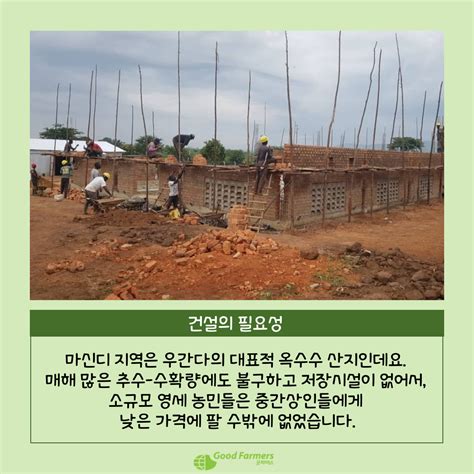 우간다 Koica Ibs 우간다 사료중심 계열화 사업 사업소식 곡물건조저장시설 완공 굿파머스 활동소식