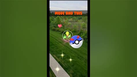 Pokémon Go Bellsprout Evolved By Itself In Ar Mode In Todays Spotlight Hour😨pokemongo Troll