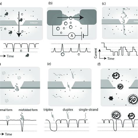 Schematics Of Single Molecule Detection By Nanodevices For Download Scientific Diagram