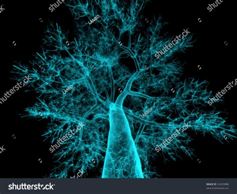Abstract Rendering Tree Neuron Like Structure ilustración de stock Shutterstock