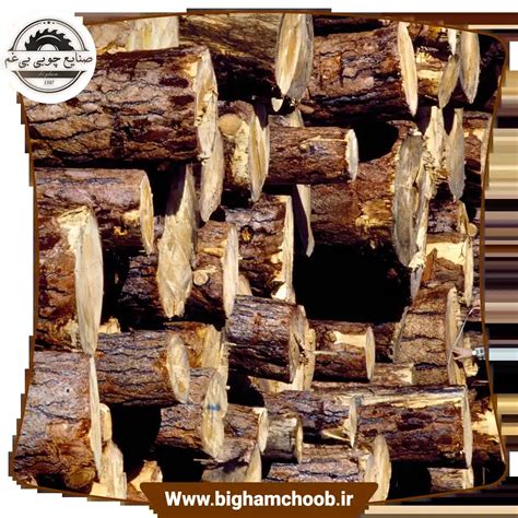 چوب‌های بومی ایران؛ نقش، اهمیت و چالش‌ها صنایع چوب بی غم