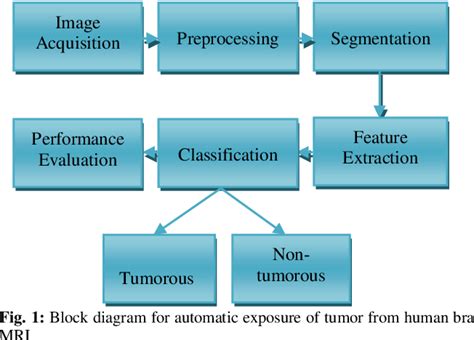 Figure 1 From Swarm Based Optimization Technique For Detection Of Brain