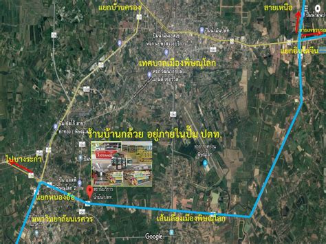 สวนฮัลเล่ย์ สวนฮัลเล่ย์ แคคตัส ต้นไม้มงคล ราคาหลักสิบ