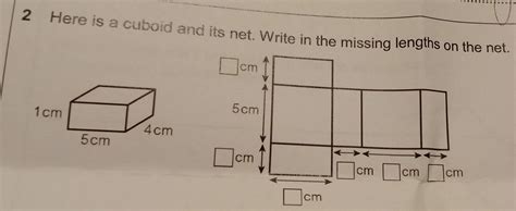 Solved 2 Here Is A Cuboid And Its Net Write In The Missing Lengths On The Net Cm [math]