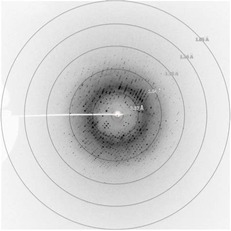 A Typical X Ray Diffraction Image Of A Lysozyme Crystal Grown On The