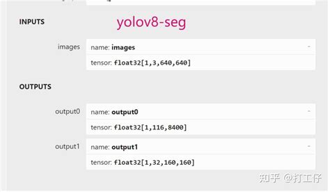 qt工具集成模型部署（onnxruntime openvino）之部署yolov5andyolov8 实例分割（onnxruntime） 知乎