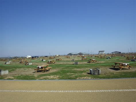 本日4月2日よりデイキャンプ場利用開始です お知らせ 海岸公園冒険広場