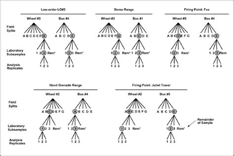 Illustration Of Sampling Tree Including Field Splits Laboratory