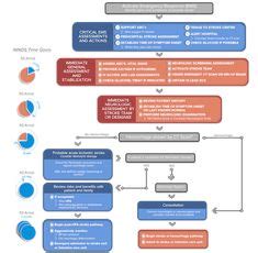 7 ACLS Algorithms Ideas Acls Algorithm Acls Algorithm