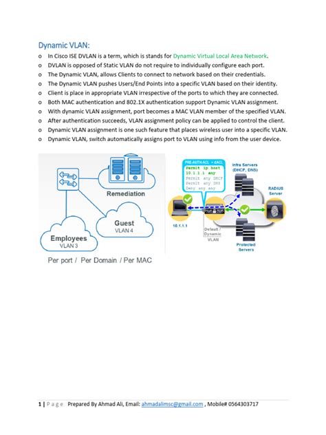 35 Dynamic Vlan Theory Pdf