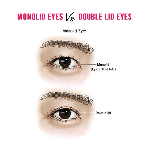 Asian Eyelash Extensions Exploring Typical Eye Shape And The Best Lash Style