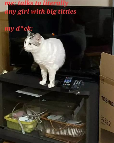 True Dat Meme By Thesexydude Memedroid