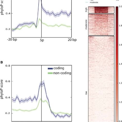 Gencode Annotation Expansion The Light Gray Box Plots Indicate Gencode Download Scientific