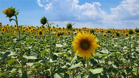 Прогресив Консулт EООД НЕОБХОДИМИ ДОКУМЕНТИ ПРИ ПЕНСИОНИРАНЕ Органите