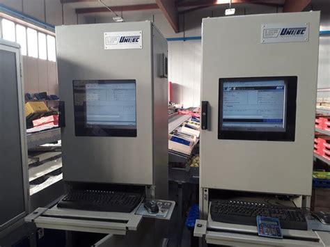 Unitec 2 Lines Mango Grading Line Fruit Graders