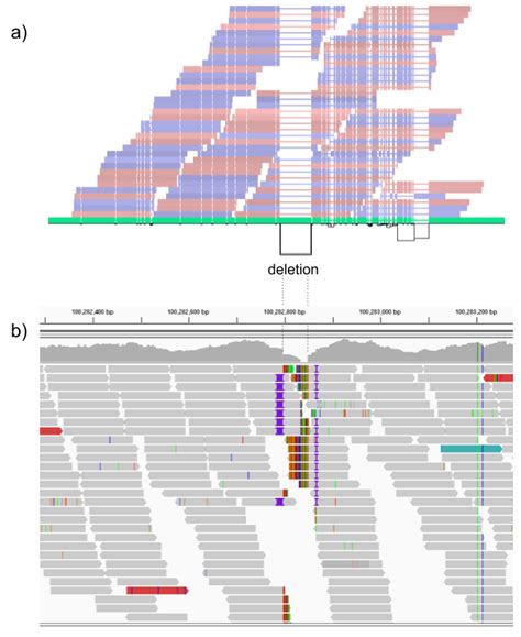 Genotyping Structural Variants In Pangenome Graphs Using The Vg Toolkit