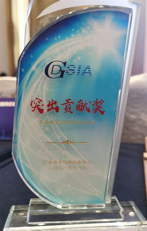 创芯驱动发展比亚迪半导体荣获GDSIA 2021年度贡献奖