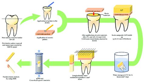 Graphical Representation Of Specimen Preparation And Experimental