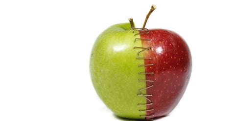 Advaxis To Seek New Life In Merger With Ayala