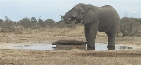 Quality Of Life In Maun History Cuture Trends 2025