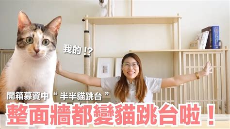 改造小貓房！把整面牆都變成貓跳台啦！【好味貓開箱】ep14 Youtube