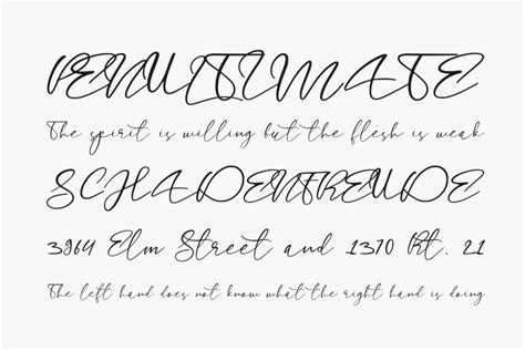 Longtail Free Font Fonts Shmonts