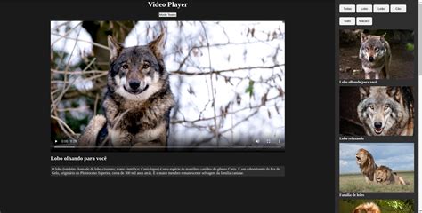 Github Vmatiasdevvideoplayer