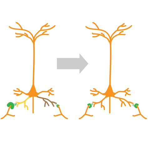 New Mrc Centre Of Research Excellence In Restorative Neural Dynamics Announced Mrcbndu