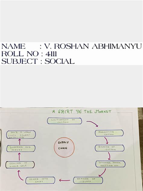 Roshan Abhimanyu Roll No 4111 Mind Map Activity Social Civics Chapter 8 A Shirt In