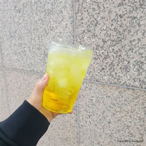 얼박사 비율 편의점 커피 대신 얼음 박카스 사이다 조합 카페인 음료 네이버 블로그