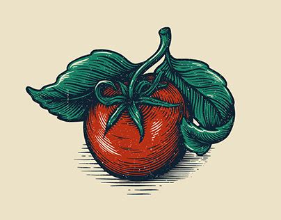 Scratch Drawing Projects Photos Videos Logos Illustrations And Branding Behance