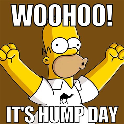 Hump Day Artofit