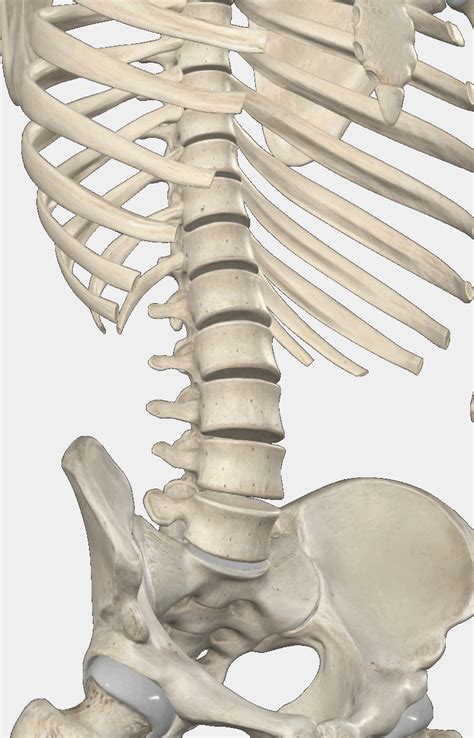 Splanchnic Nerve Diagnostic Block And Radiofrequency Ablation