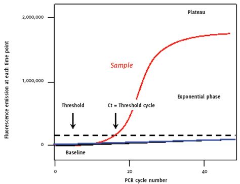 Pcr Exponential Amplification